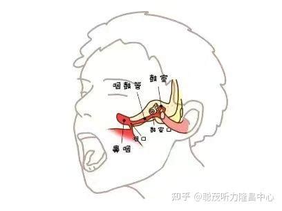 一咽口水耳朵里就咯噔响是耳朵出问题了吗 知乎