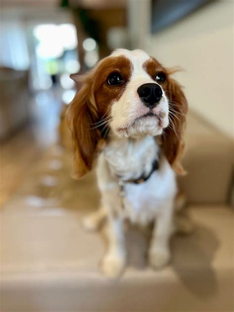 The Mark And Grether Group Compass On Linkedin ⚠️warning This Post May Be Too Cute For Some