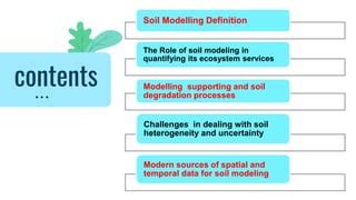 Modelling Soil Processes PDF