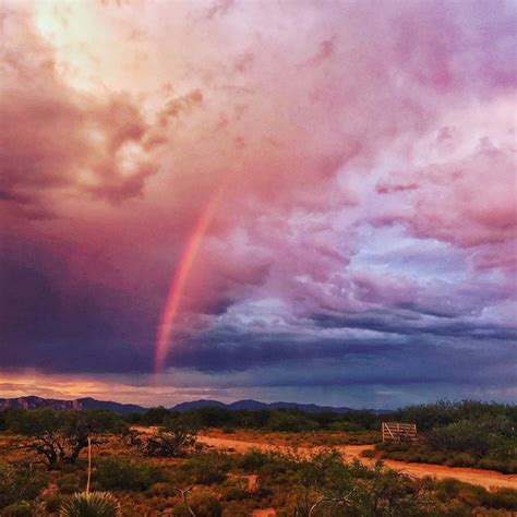 Monsoon Season In Arizona A Spectacular Natural Phenomenon