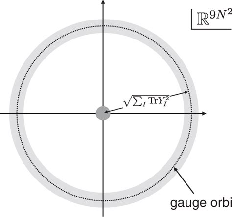Gauge Symmetrized Version Of The Wave Packet Shown In Fig 1 Gray