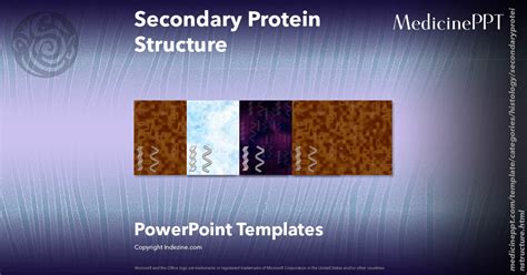 Secondary Protein Structure Medicine PowerPoint Templates