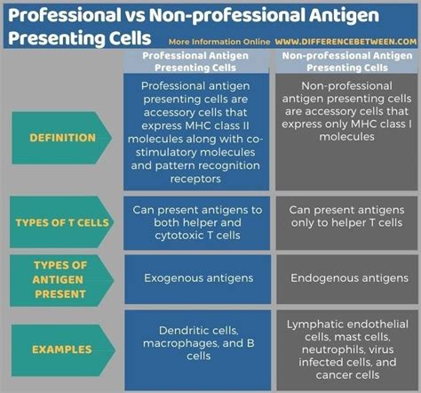 Professional Vs Non Professional Antigen Presenting Cells Tabular Form Antigen Presenting