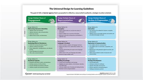 Udl Guidelines 30 Laminated Organizer