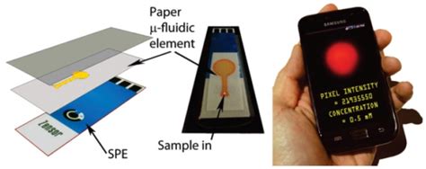 Fabrication And Analysis Process Of Paper Based Microfluidic