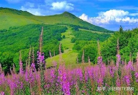 中证500etf期权也是场内期权吗？ 知乎