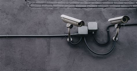 Top Techniques For Ensuring Robust Code Security Poly Plugins