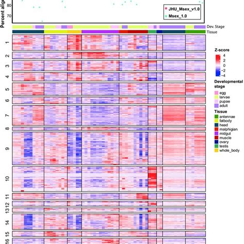Gene Expression Clustering Top Panel Is The Percent Aligned From Each Download Scientific
