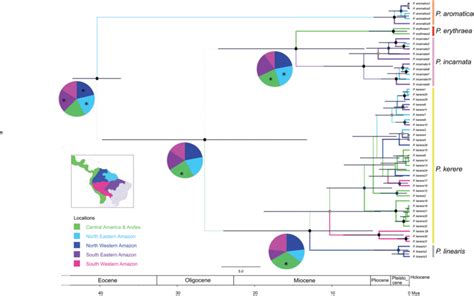 Ancestral Areas Reconstructed With Bayesian Stochastic Search Variable