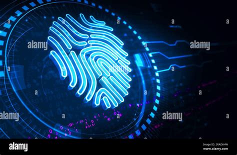 Fingerprint Cyber Biometric Id Security And Identity And Privacy Symbol Digital Concept Network