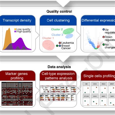 A Variable Correlation Plot Showing The Contribution Of Each Of 20 Download Scientific Diagram
