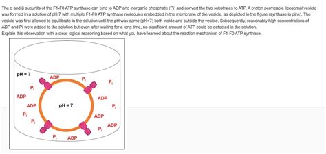 Solved The a and ß subunits of the F F ATP synthase can Chegg com