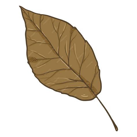 Brown Leaf Clipart