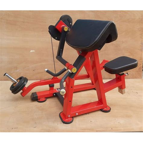 Divine Fitness Mild Steel Bicep Curl Machine 50 Kg At Rs 26000 In Ahmedabad
