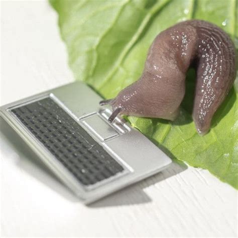 It Makes Me Pin It In Order To Have It As A Pfp Unfortunately Ignore This Pic