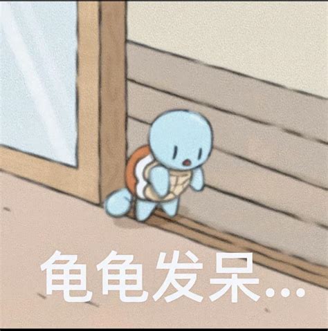 杰尼龟表情包 给大家表演个龟龟劈叉 知乎