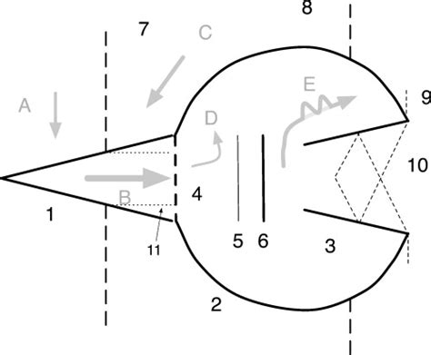 Magnetohydrodynamic Structure Of A Plasmoid In Fast Reconnection In Low Beta Plasmas Physics
