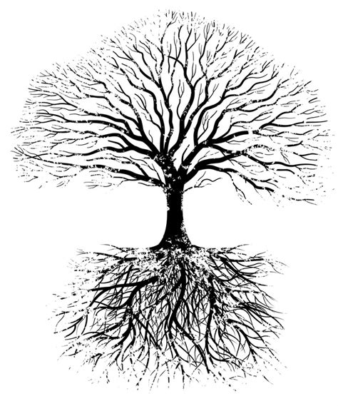 Tree With Roots Clipart Outline Free Cliparts Download Images On Clipground