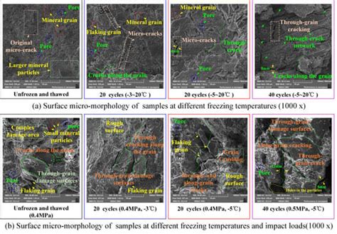 Fractal Fract February 2025 Browse Articles