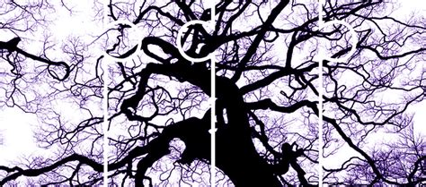 Editorial Structure Opus