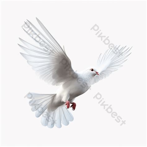 Flying Dove Png Images Psd Free Download Pikbest