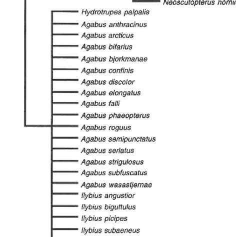 The Parsimony Analysis Was Based On The 32 Informative Download Table