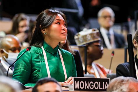 Ч Номин сайдын ахалдаг 22 тэрбумын төсөвтэй хороо юу хийдэг вэ