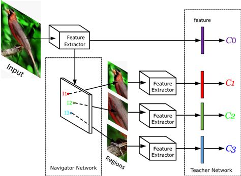 Fine Grained Image Classification Using Nts Net Binus University Malang Pilihan Universitas