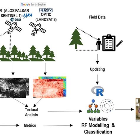 Flowchart For Aboveground Biomass Estimation In Mediterranean Pine Download Scientific Diagram