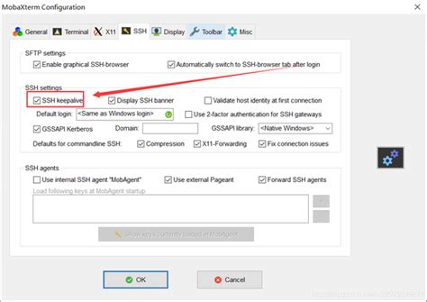 【工具】mobaxterm远程连接经常中断问题解决 知乎