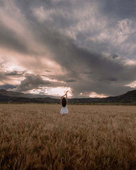 경치 경치가 좋은 고독 고요한 고요함 골든 아워 골든 필드 광야 구름 구름 형성 농촌의 대기의 뒷모습 들판 무기 제기 묵상 밀 부드러운 서