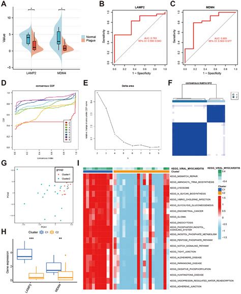 Identification And Validation Of The Biomarkers Related To Ferroptosis In Calcium Oxalate