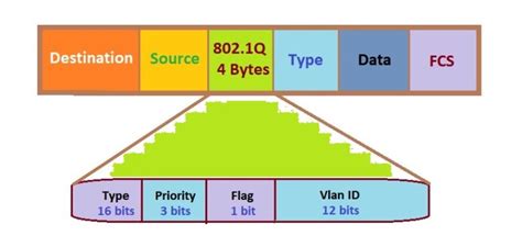 VLAN Tagged Vs Untagged Unlock Your Networks Power CCNA Practical Labs