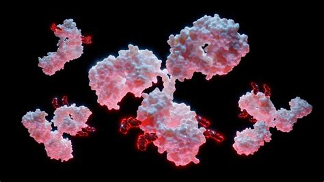 Bms Acquires Cd33 Blood Cancer Adc From Orum In 180m Deal