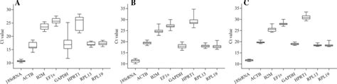 Expression Levels Of Candidate Reference Genes In Different Tissues Download Scientific Diagram