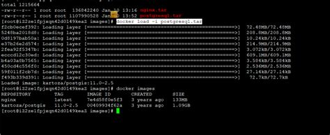 Linux Docker Pg