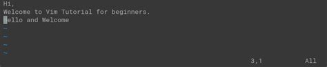 How To Use Vim Tutorial For Beginners