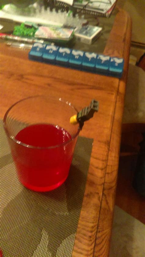 Lego Dive Lego Diving