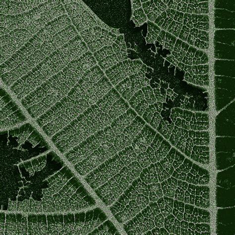 Le Brisement Youtube Music