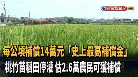 桃竹苗稻田停灌 陳吉仲每公頃補償14萬元－民視台語新聞 Youtube