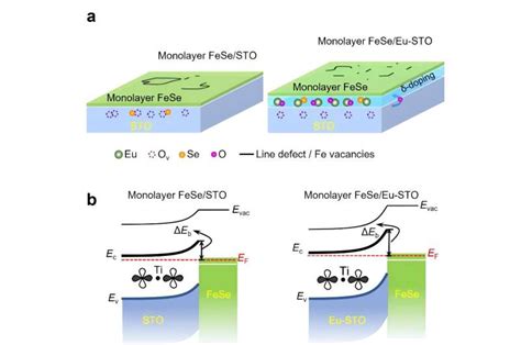 金属 ドーピングによる Srtio₃001 上の単層 Fese 膜の超伝導の増強