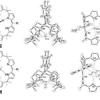 Flow Chart Of Tetrapyrrole Synthesis All Of The Reactions Shown Above