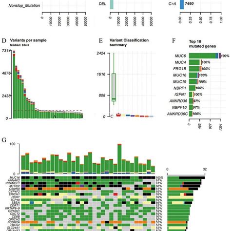 Somatic Mutation Analysis A Variant Classification X Represents