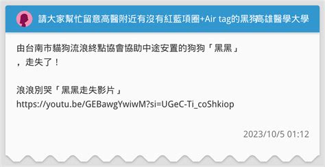 請大家幫忙留意高醫附近有沒有紅藍項圈 Air tag的黑狗 高雄醫學大學板 Dcard