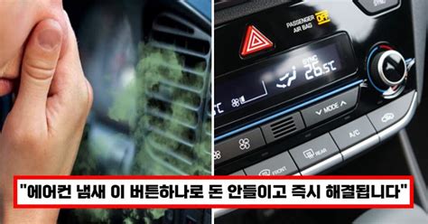 에어컨 냄새 잡는 방법 Archives 뉴스를 싣고