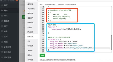宝塔 springboot jar 配置域名 后 css js 等 静态文件 404 访问不到 宝塔面板配置springboot项目绑定域名