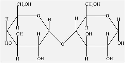 Aldose Vs Ketose