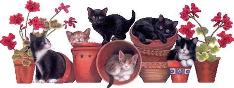 1p 2p 3 And 4p 5p 6p Pppp