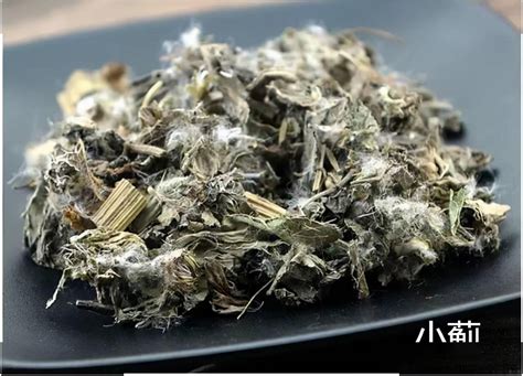 每天学习一味中药——小蓟治疗