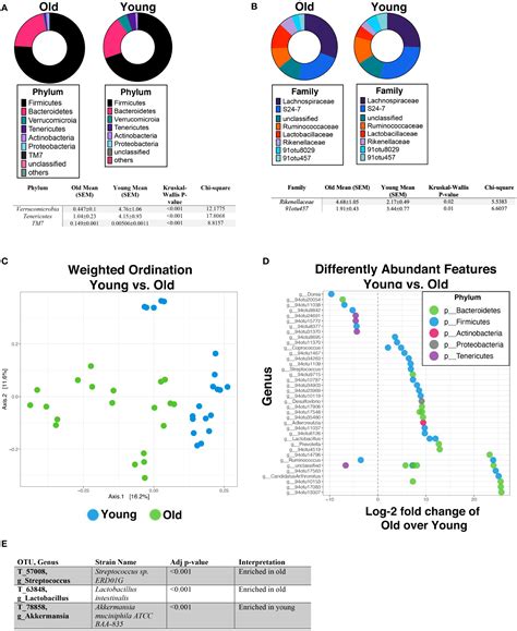 Frontiers Modulation Of Microbiome Diversity And Cytokine Expression Is Influenced In A Sex